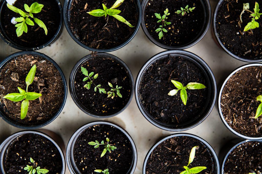 Employee Development Activities To Help Your Employees Grow Reflektive Employee Development Activities To Help Your Employees Grow Reflektive